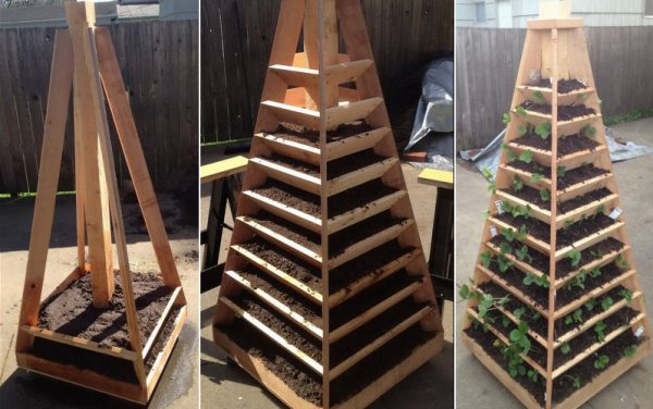 5 moduri inedite pentru plantarea capsunilor | Agroherbs.ro